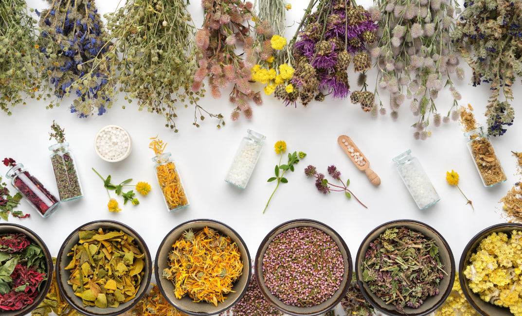 A gyógynövények ereje, belülről támogatva - Greenman